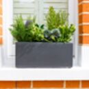 Evergreen Artificial Window Box In Large By Bay And Box London ...