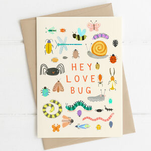 Love Bug Card By Darcie Olley | notonthehighstreet.com