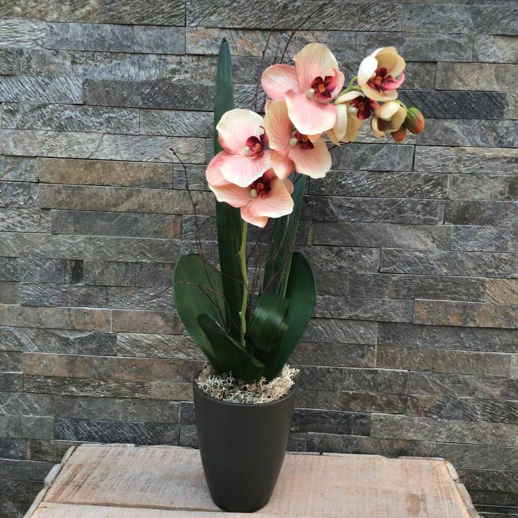 Peach Pink Luxury Artificial Silk Orchid Arrangement By Flowers by ...