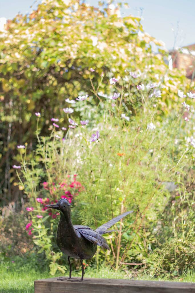 Pheasant Recycled Metal Garden Sculpture By Chi Africa ...