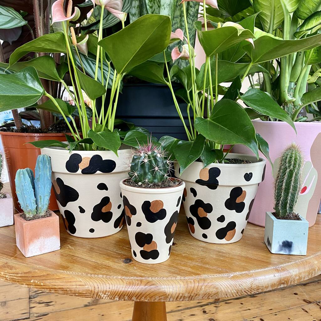 Leopard Print Hand Painted Plant Pot By Proudly Potty ...