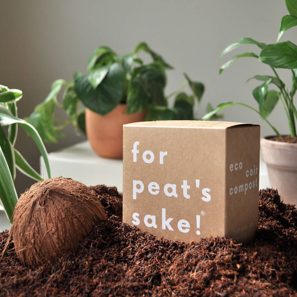 Personalised Christening Indoor Plant Pot By Letterfest ...