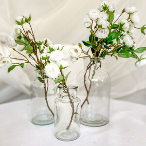 Botanical Bottle Vase Three Sizes By The Wedding of my Dreams ...
