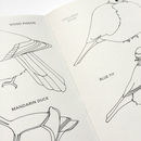 'colouring Book Of Birds' By Kate Broughton | notonthehighstreet.com