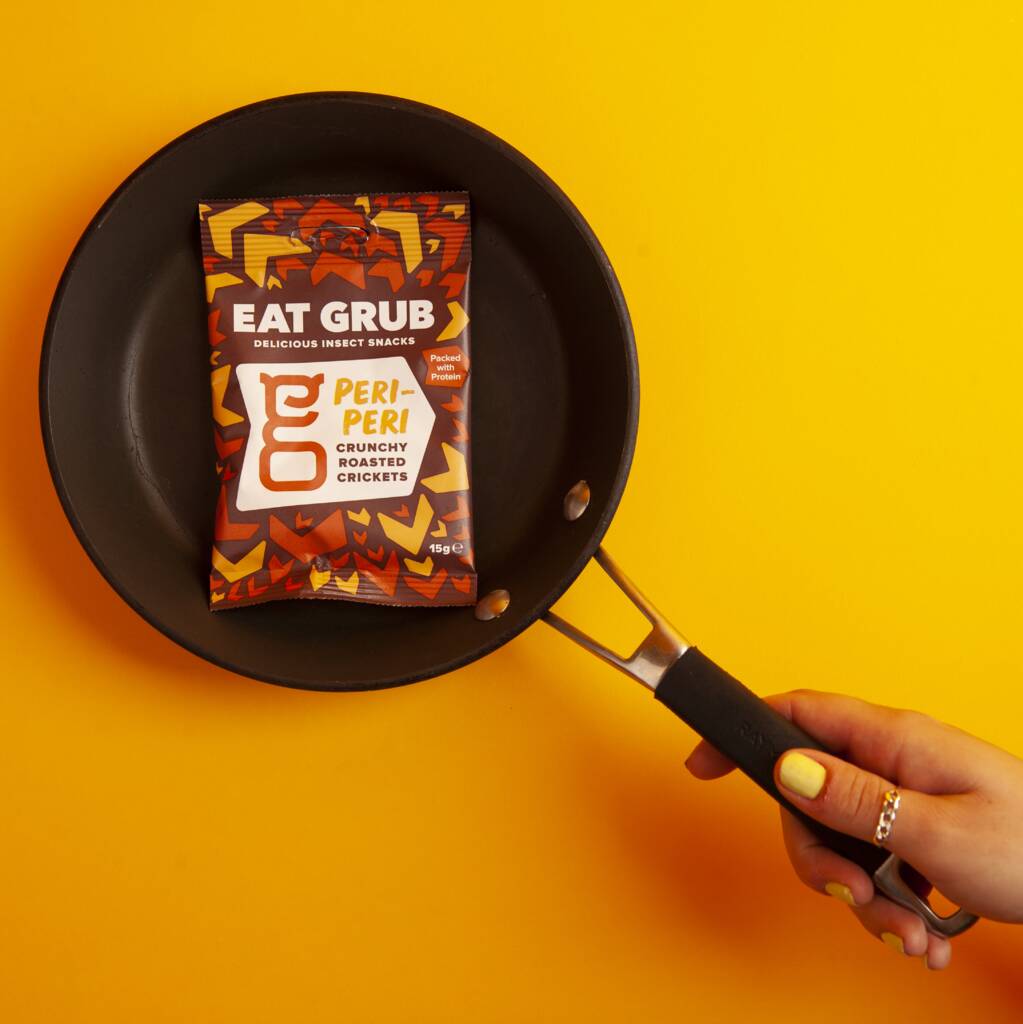 Cricket Game Eat Grub: Crunchy Roasted Crickets: 12 Packs (180g ...