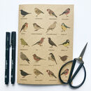Garden Bird Notebook By Kate Broughton | notonthehighstreet.com