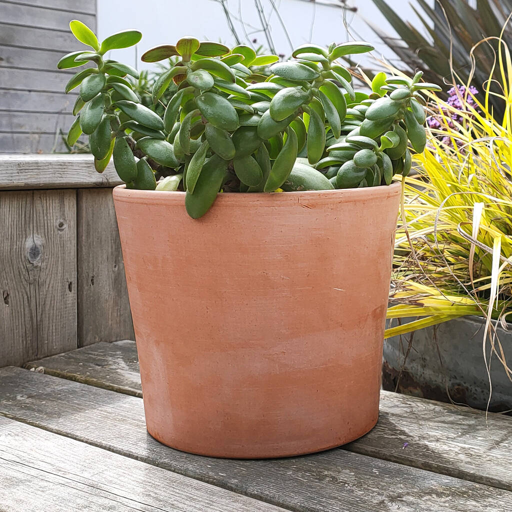 Engraved Birthflower Plant Pot By Letterfest | notonthehighstreet.com