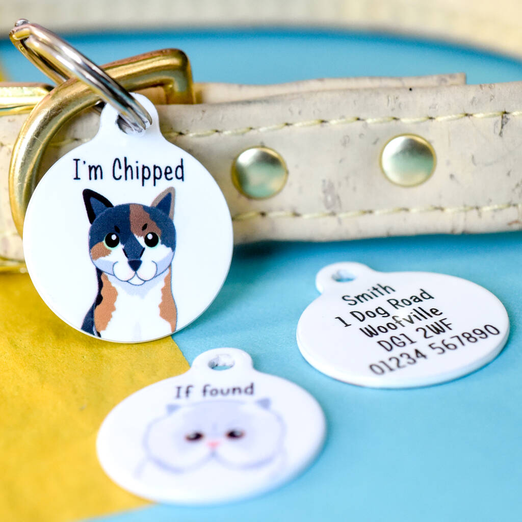 Personalised Premium Cat Breed Name Tag Bold By Hoobynoo ...