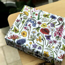 Wildflowers Of Britain Wrapping Paper Set By Alexia Claire ...
