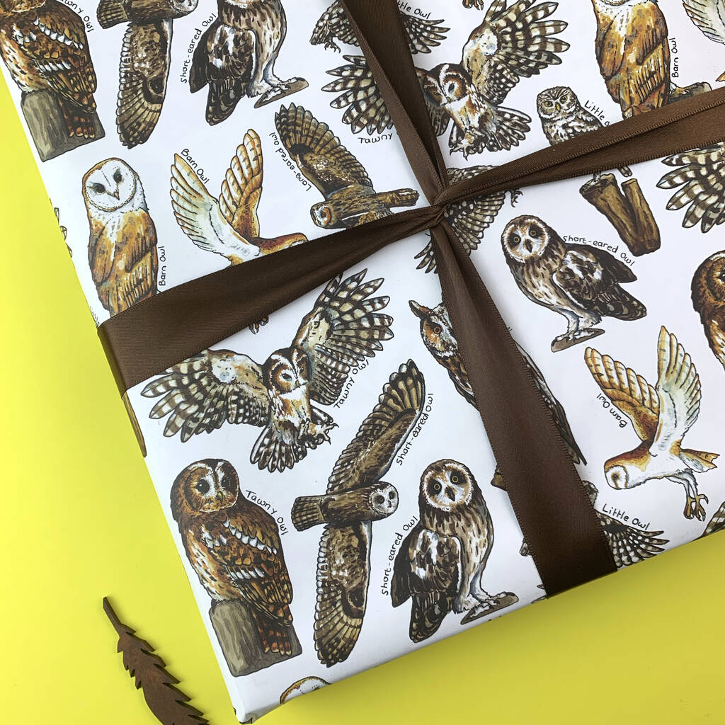 Owls Of Britain Wrapping Paper Set By Alexia Claire ...