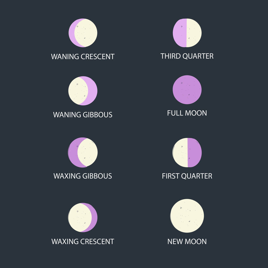 Personalised Organic Cotton Moon Phase Jumper By Oakdene Designs