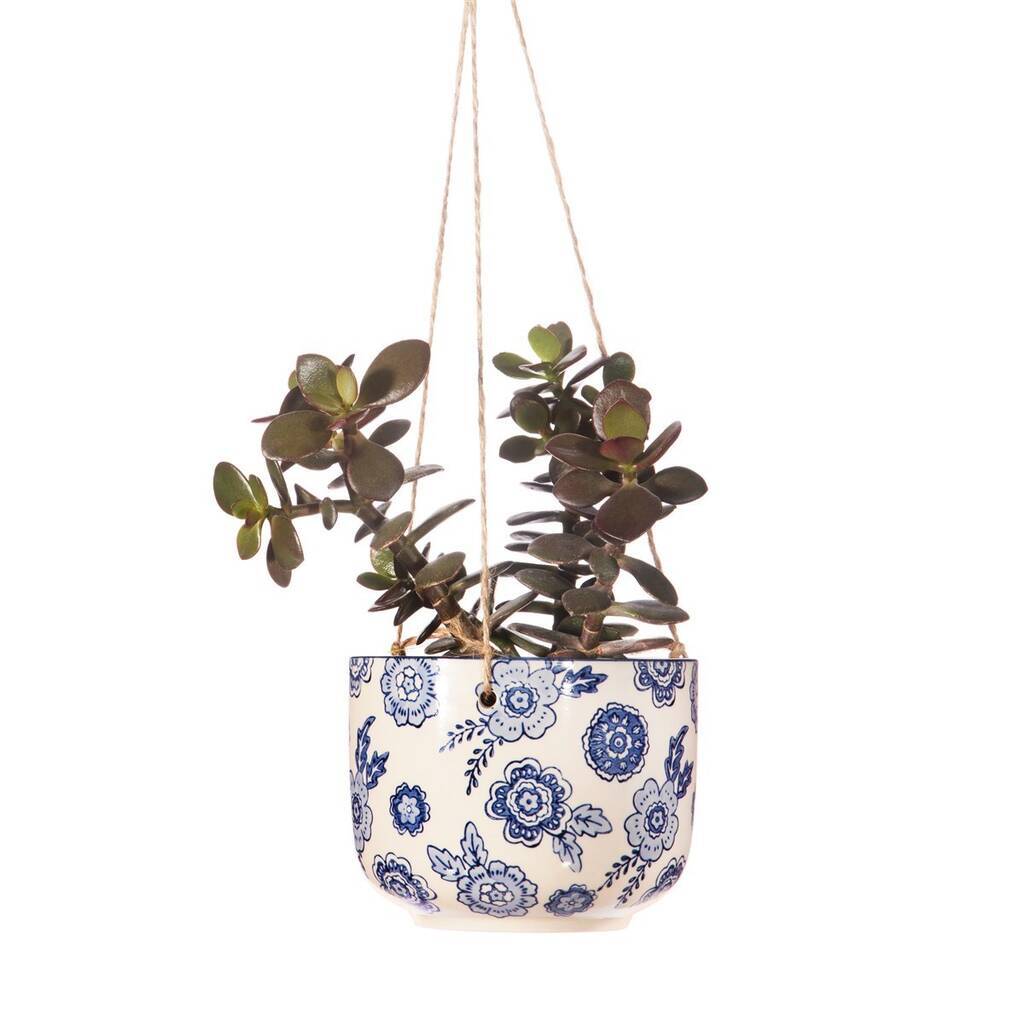Blue Willow Hanging Plant Pot With Choice Of Plant By DingaDing