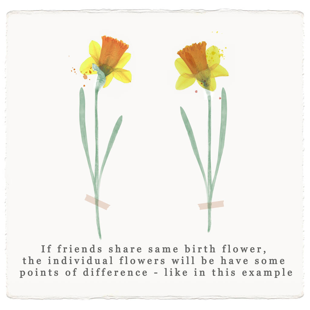 best friends personalised herbarium botanical print by floss & co ...