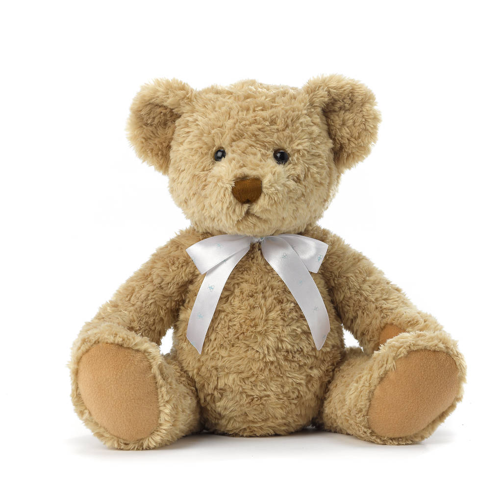 bear hunt personalised storytime gift hamper by babyblooms ...