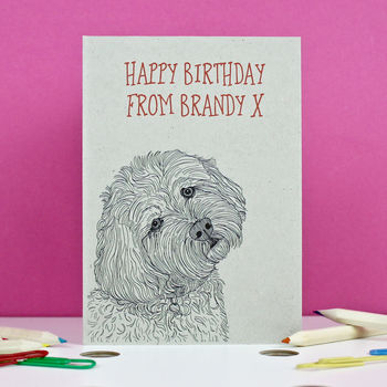 Cockapoo Birthday Card By Adam Regester Design | notonthehighstreet.com