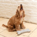 Mutts And Hounds Squeaky Dog Bone Toy By Mutts & Hounds ...