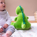 Personalised Dinosaur Childrens Soft Toy By Sparks And Daughters ...