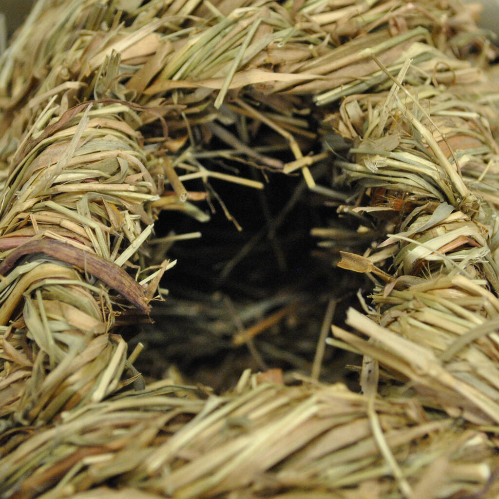 Wild Bird Roosting Pouches By Garden Selections | notonthehighstreet.com