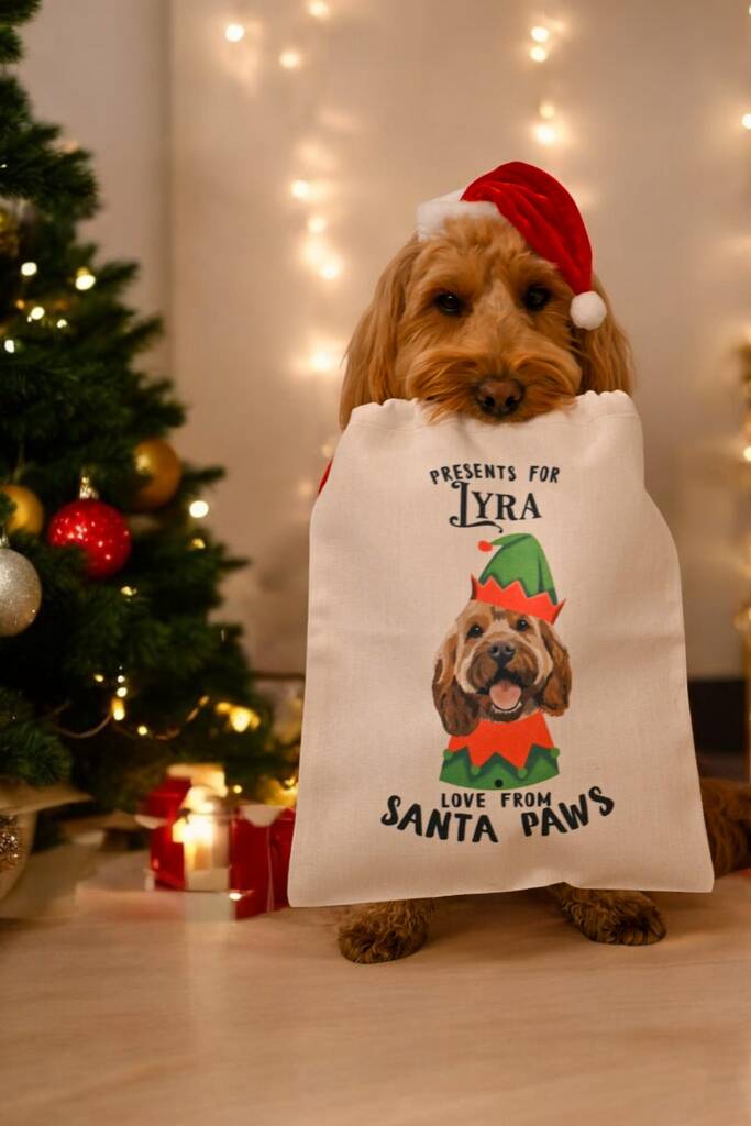 Artwork Upgrade To Custom Drawing By Hoobynoo