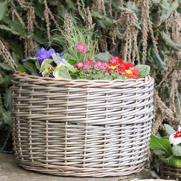 Round Woven Wicker Plant Pot By Dibor | notonthehighstreet.com