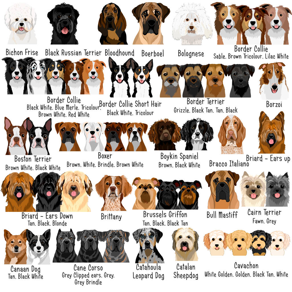 Dog Tag Personalised Dog Name ID Daze Harlequin By Hoobynoo ...