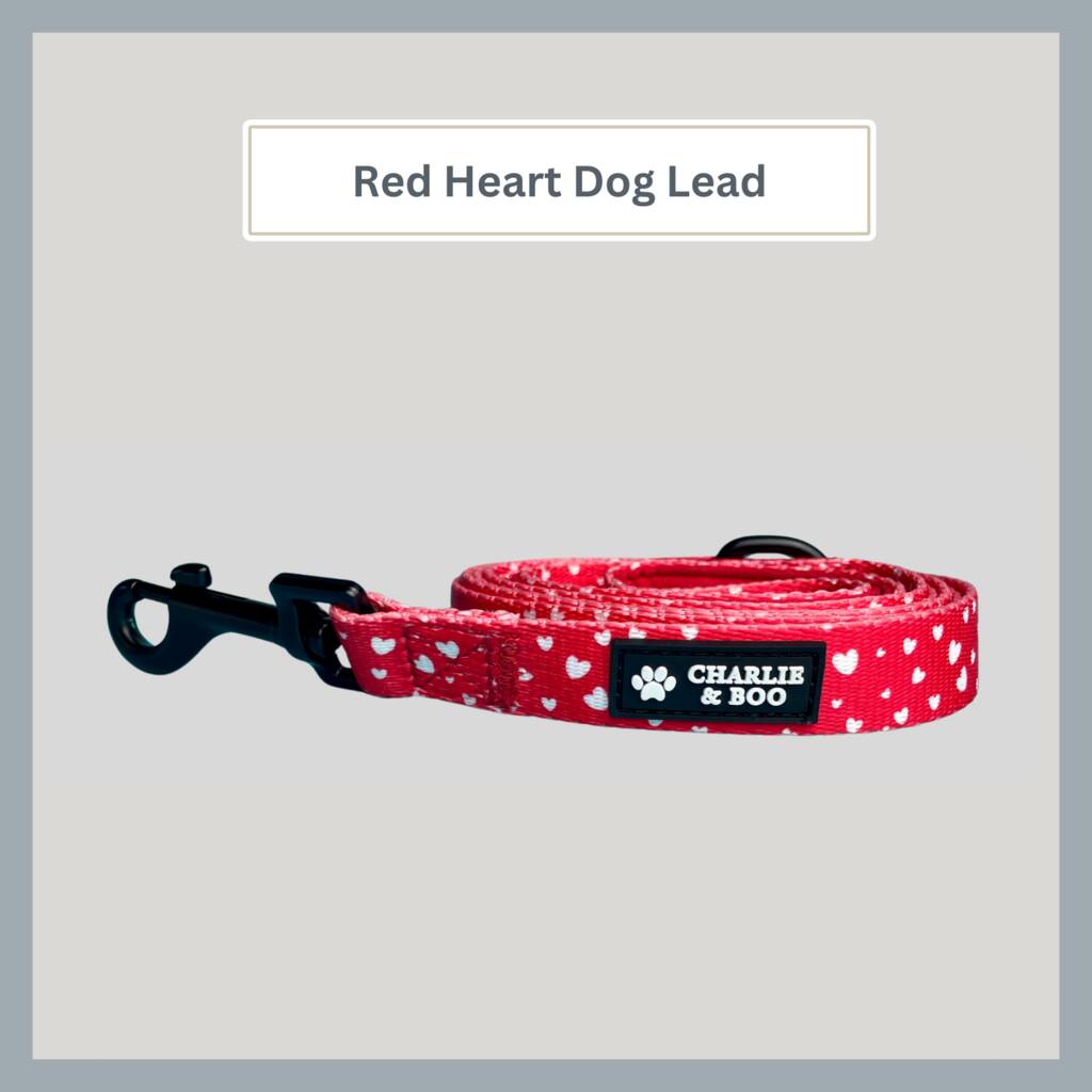 Red Heart Dog Lead/Leash By Charlie and Boo