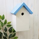 Handmade Simply Colour Bird Box By Lindleywood | notonthehighstreet.com