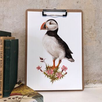 Atlantic Puffin Print By Becci Maryanne | notonthehighstreet.com