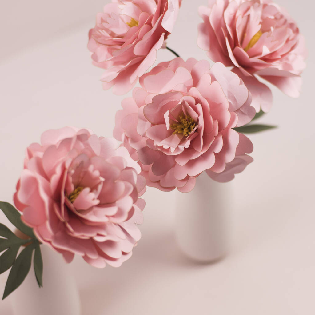 Paper Peony Craft Kit By Suzi Mclaughlin Notonthehighstreet