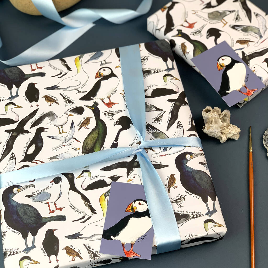 Coastal Birds Of Britain Wrapping Paper Set By Alexia Claire ...
