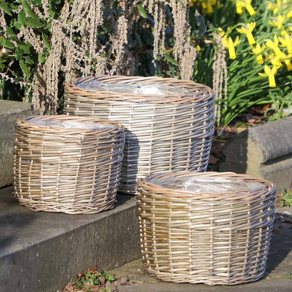 set of three round woven wicker planters by dibor | notonthehighstreet.com
