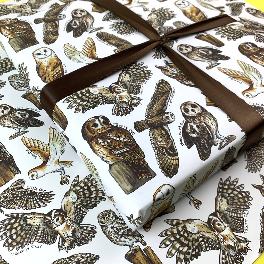 Owls Of Britain Wrapping Paper Set By Alexia Claire ...