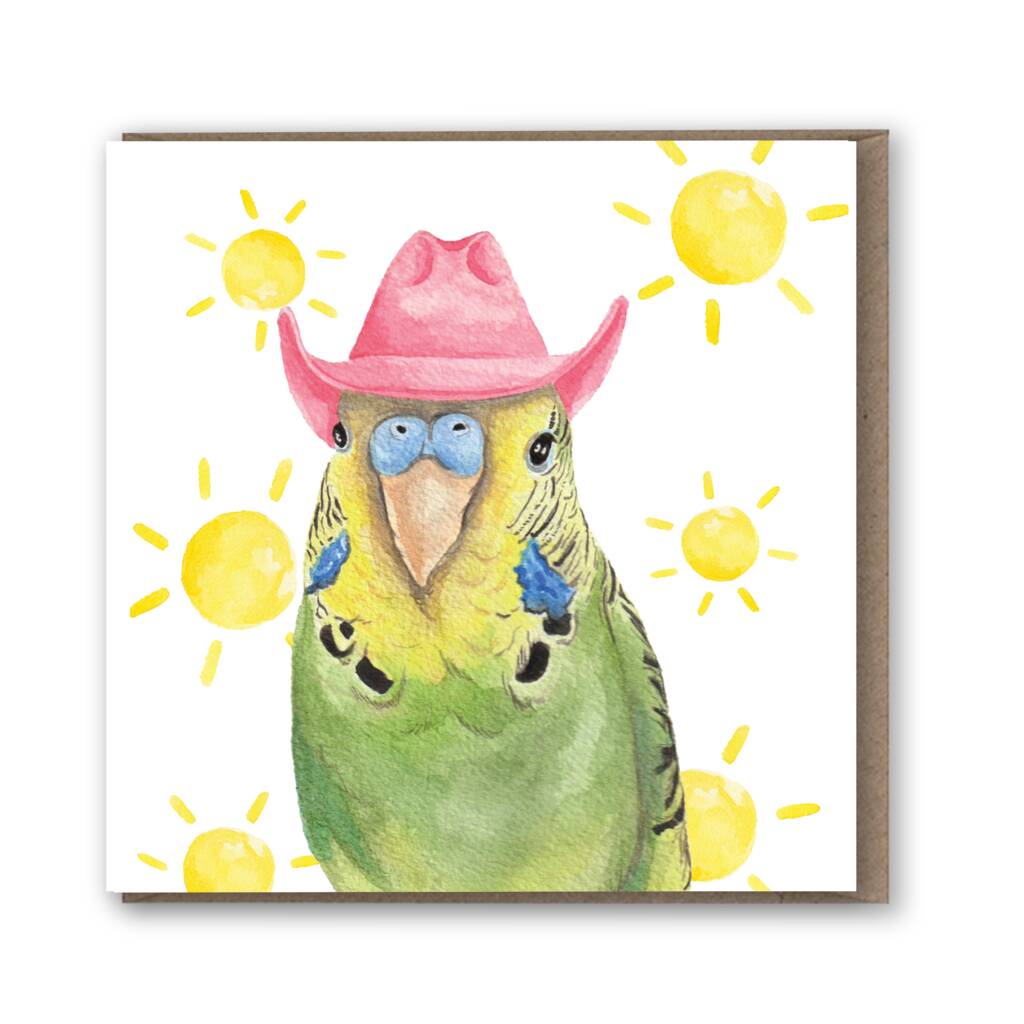 Cowboy Bird Card By lil wabbit | notonthehighstreet.com