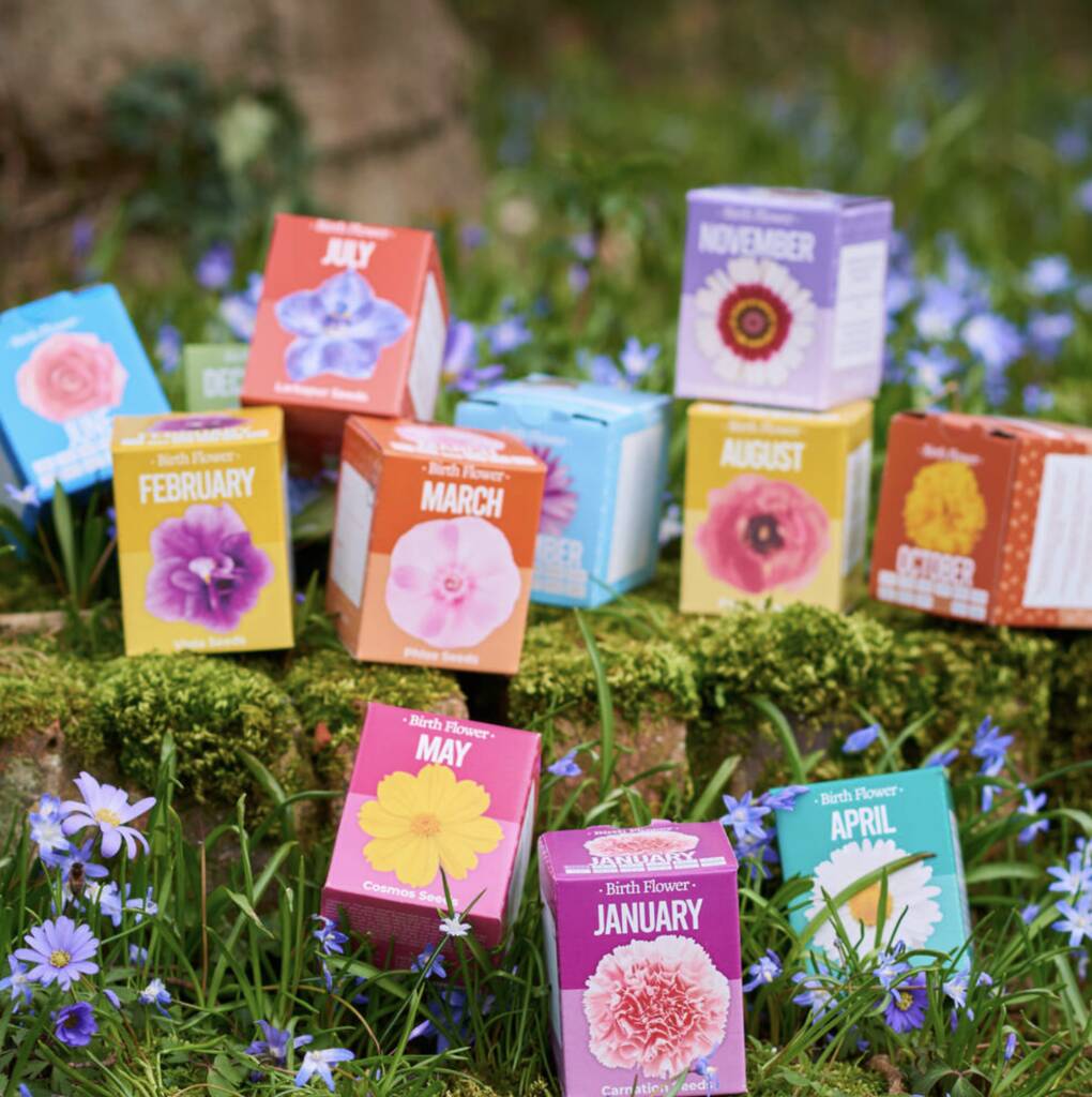 Grow Your Own Birth Flower By The Giftologist | notonthehighstreet.com