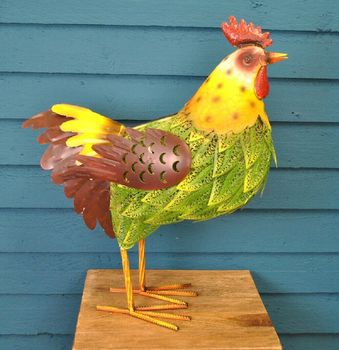 hen solar garden light by garden selections | notonthehighstreet.com