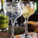 Fine Etched Gin Goblet By The Forest & Co | notonthehighstreet.com