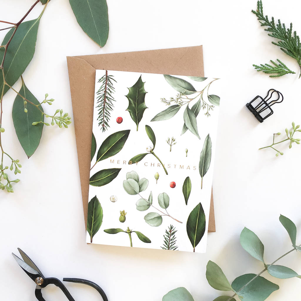 box of eight botanical christmas cards greenery by catherine lewis ...