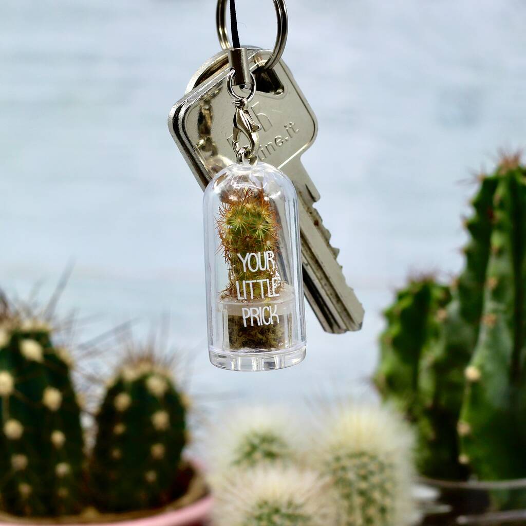 Personalised Mini Terrarium Cactus Keychain By BEEcycle ...
