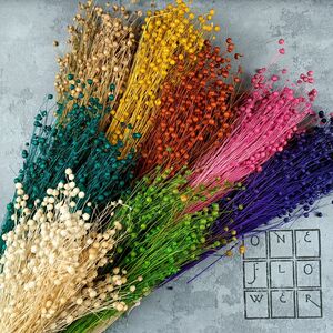 Dried Flowers and Preserved Flowers | notonthehighstreet.com