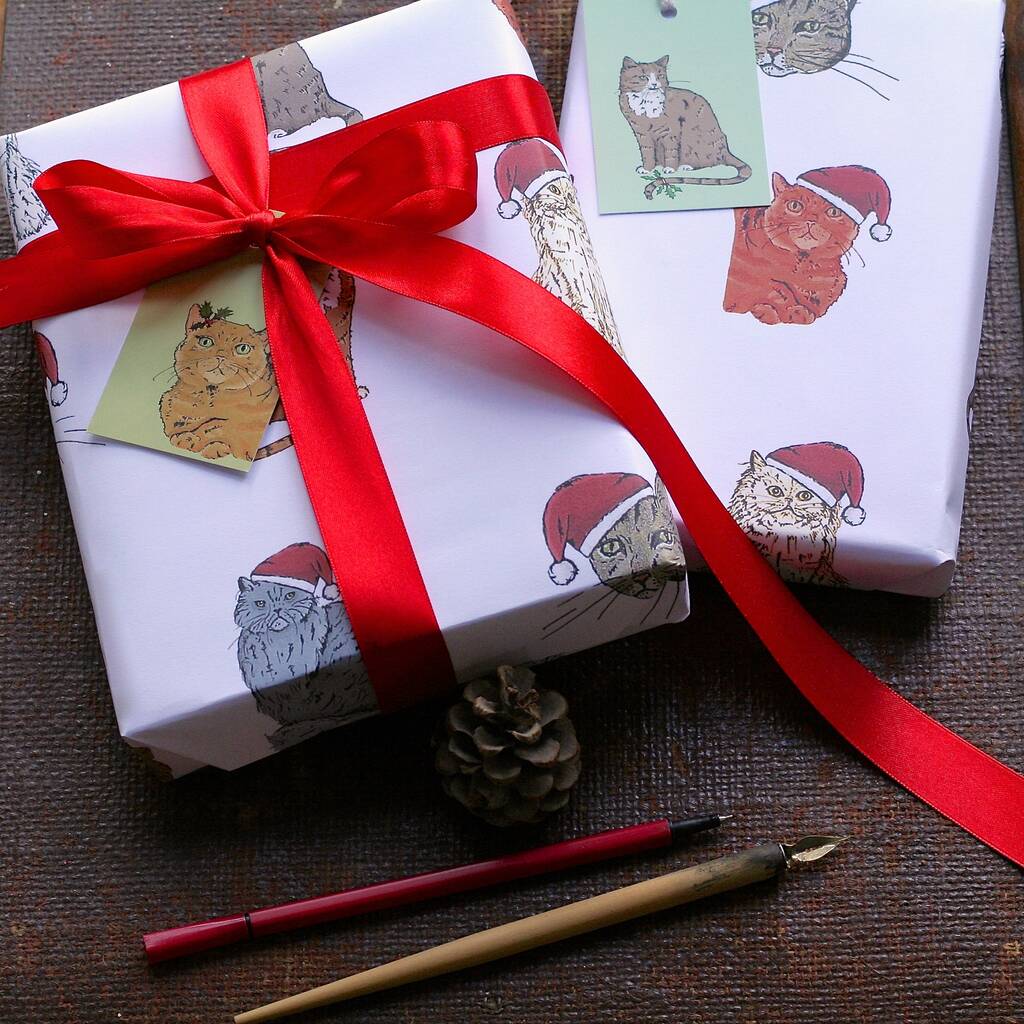 Cat Christmas Wrapping Paper Set By Laura Crow | notonthehighstreet.com