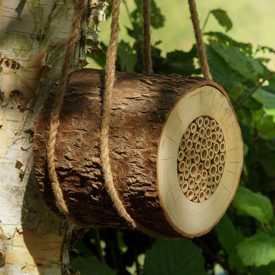 natural wood bee log by the orchard | notonthehighstreet.com