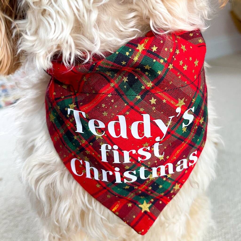 Personalised Christmas Puppy Bandana By Nine Designs ...