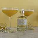 Ellis Lemon Gin By Elj Drinks | notonthehighstreet.com