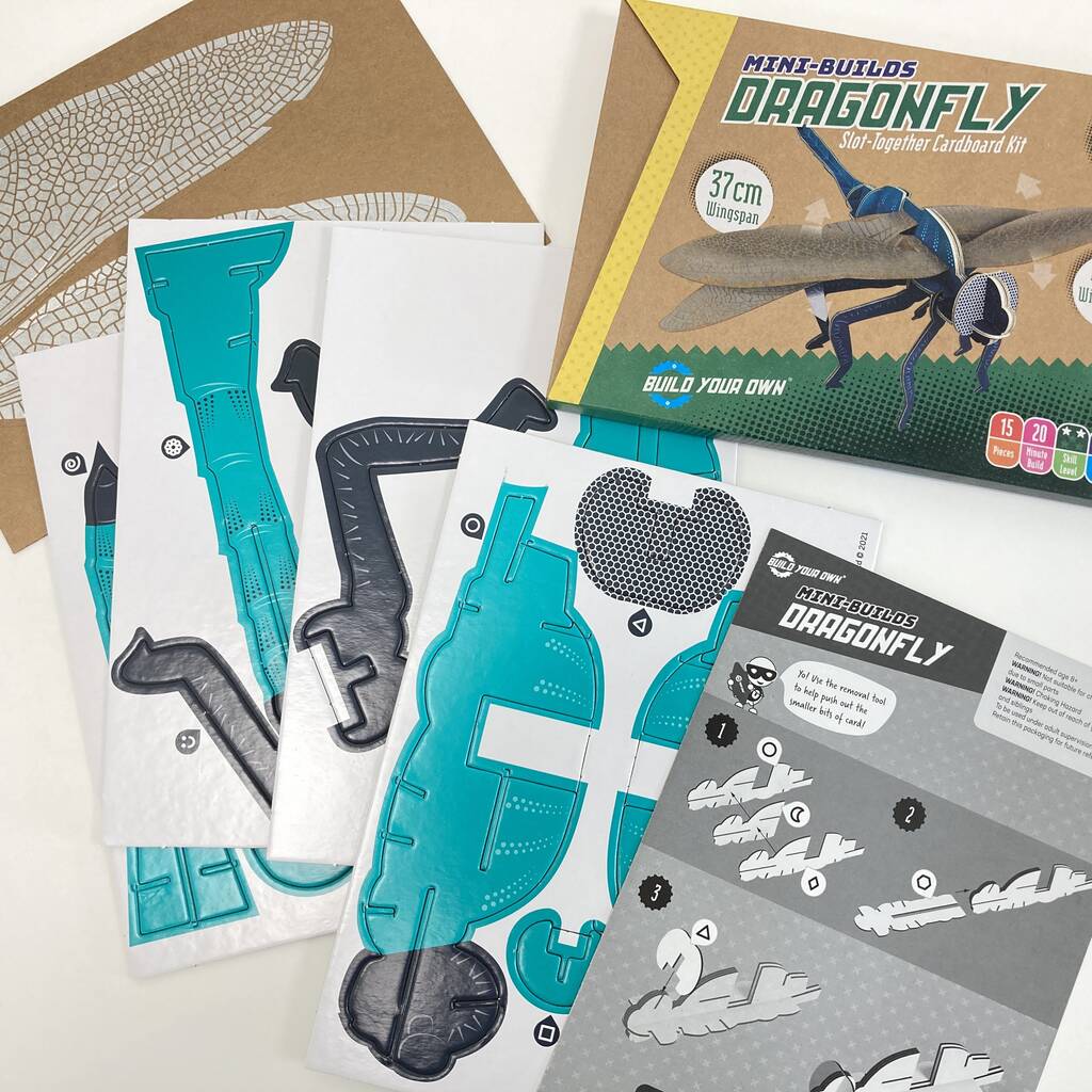 Build Your Own Personalised Dragonfly By Build Your Own
