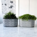 Oval Chevron Plant Pot By Clem & Co | notonthehighstreet.com