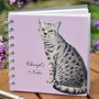 Cat Notebook By Amanda Hancocks | notonthehighstreet.com