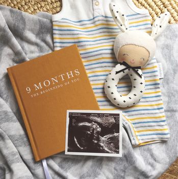 pregnancy record book nine months the beginning of you by meminio ...