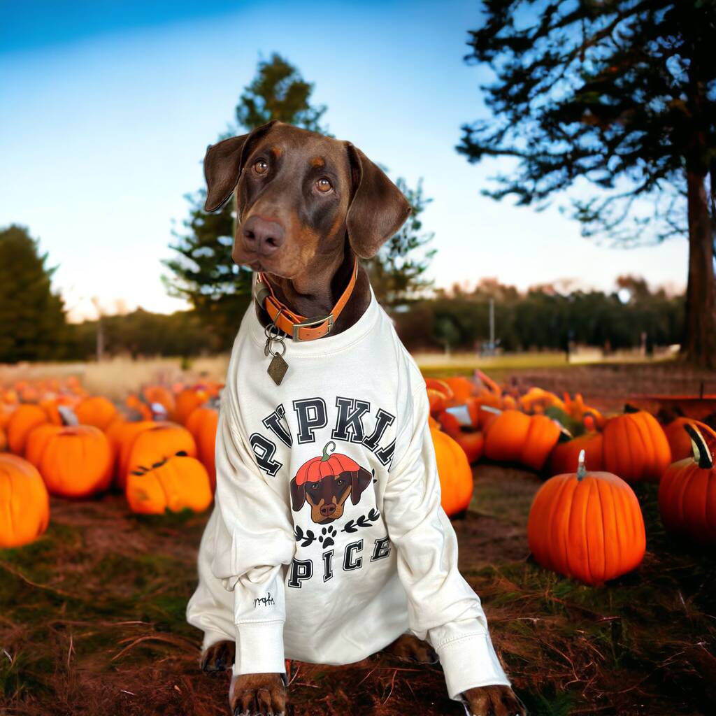Personalised Pupkin Spice Dog Lover Sweatshirt By Syd&Co