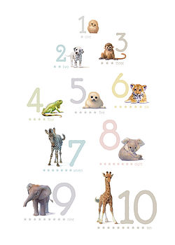 Illustrated Animals Number Print By Little Blue Zebra ...