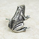 wild frog necklace pendant antiqued pewter by wild life designs ...